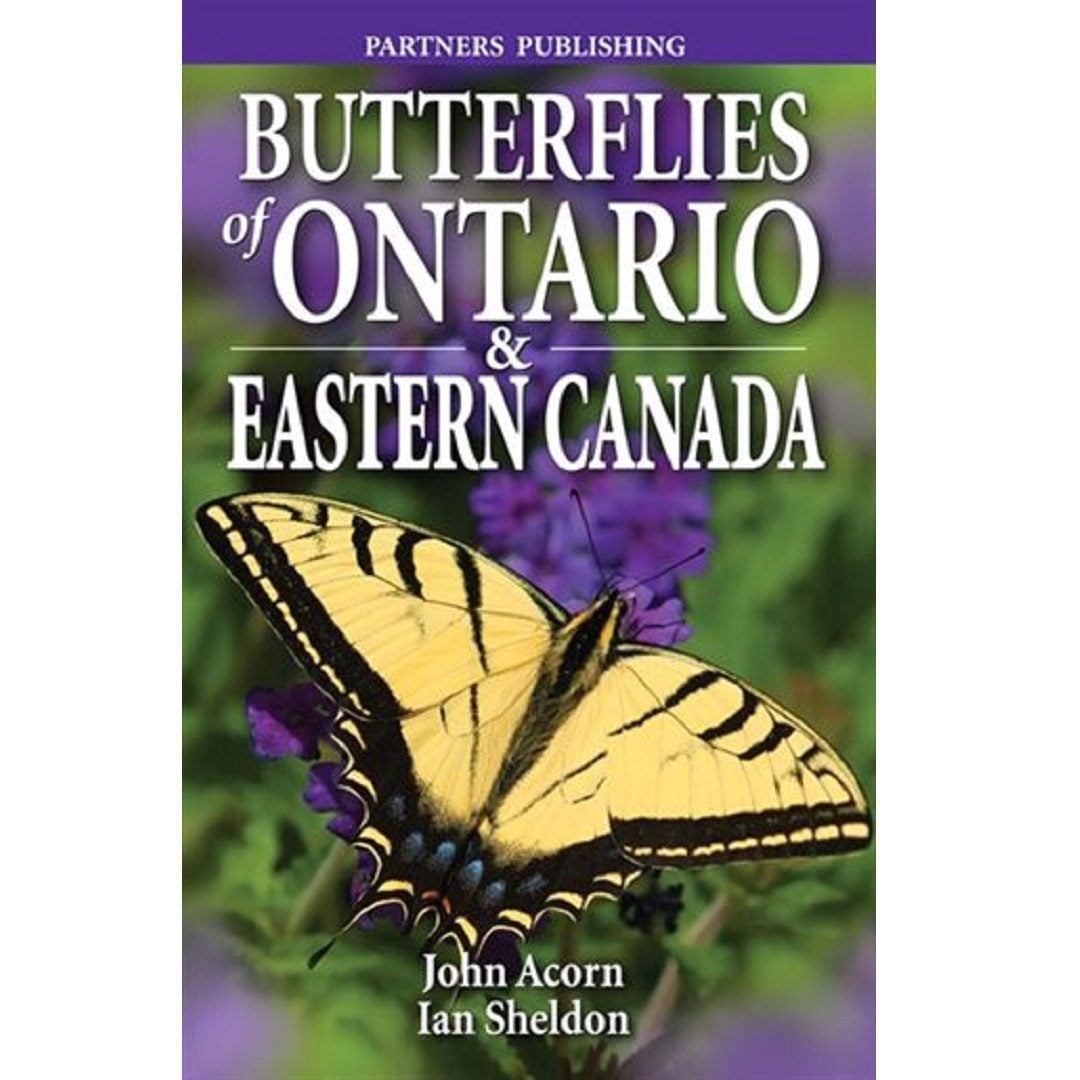 Butterflies of Ontario & Eastern Canada | Bruce Trail Conservancy