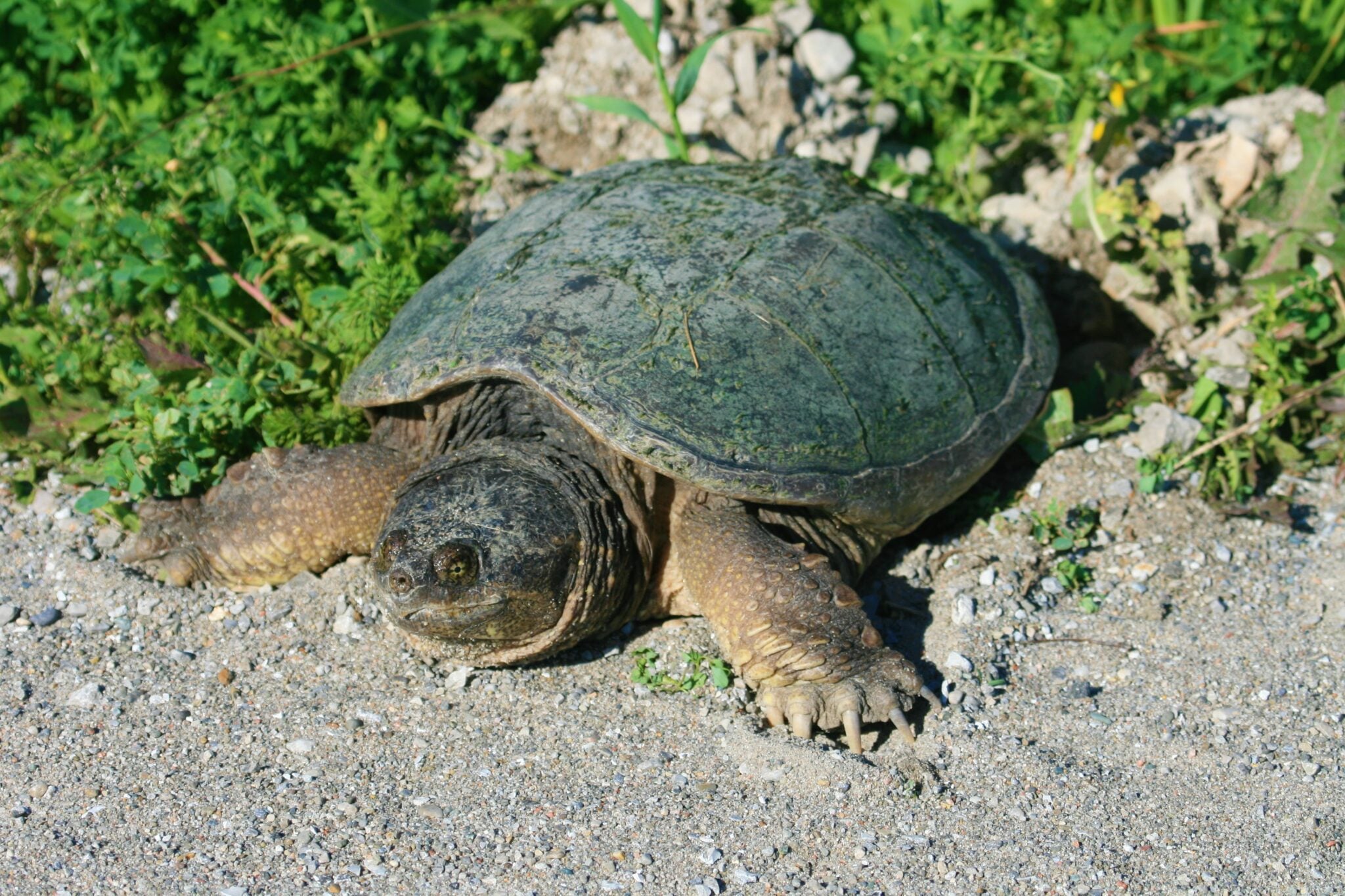 What We Do | Bruce Trail Conservancy
