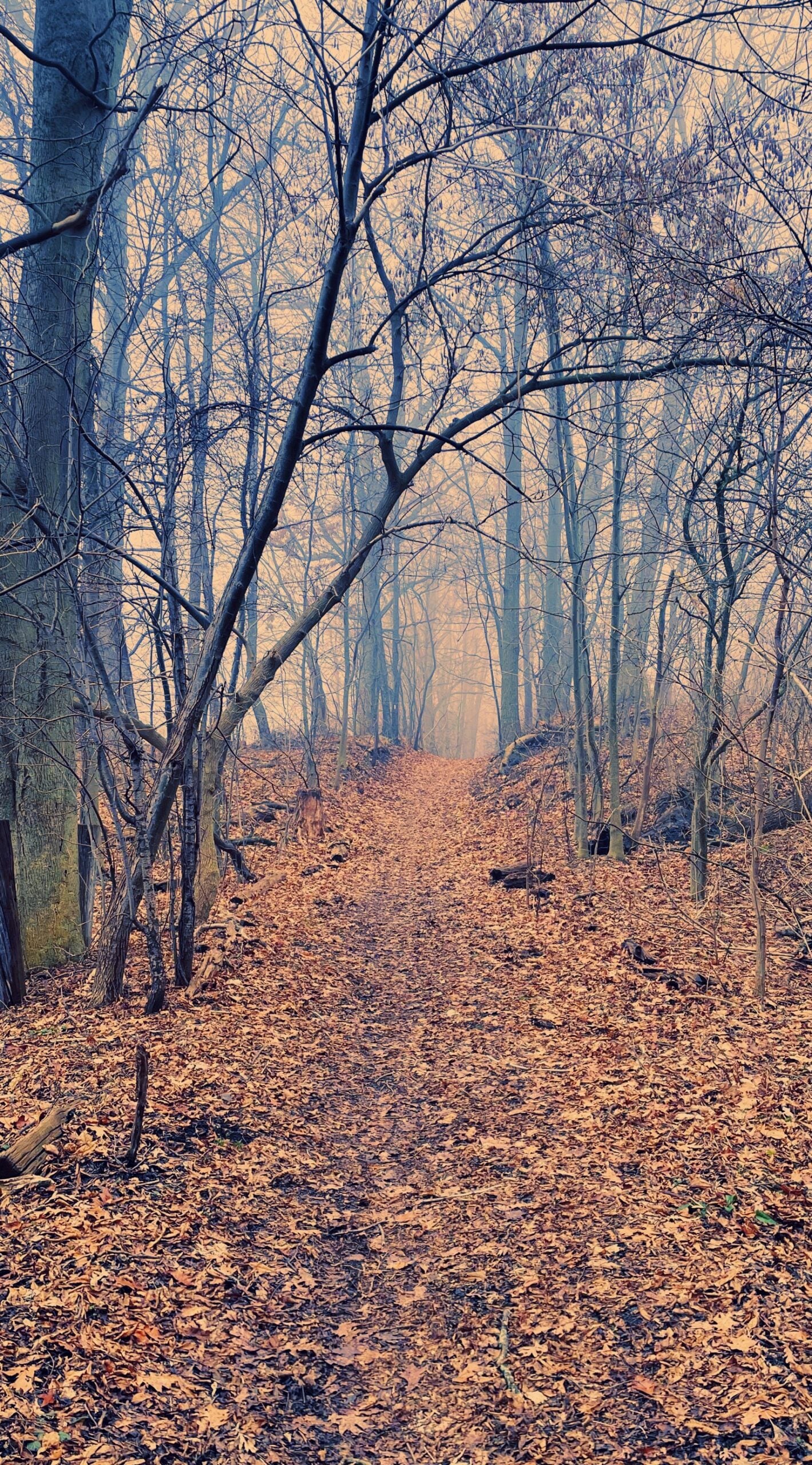 Protected Natural Areas | Bruce Trail Conservancy