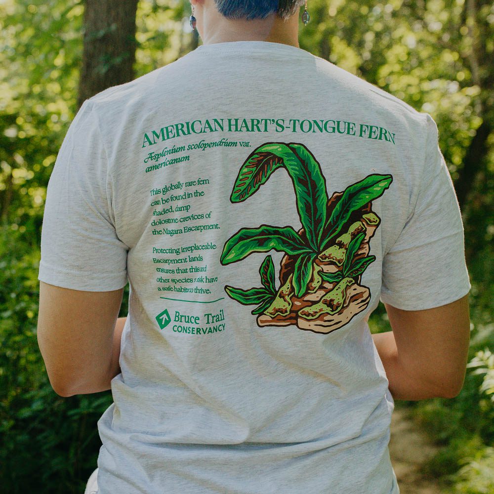 American Hart's-tongue Fern T-Shirt | Bruce Trail Conservancy