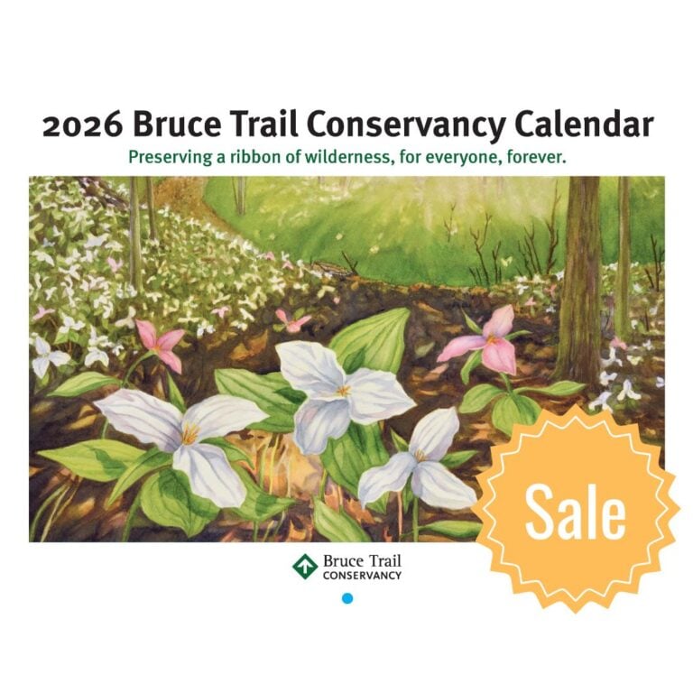 2026 Bruce Trail Conservancy Calendar | Bruce Trail Conservancy