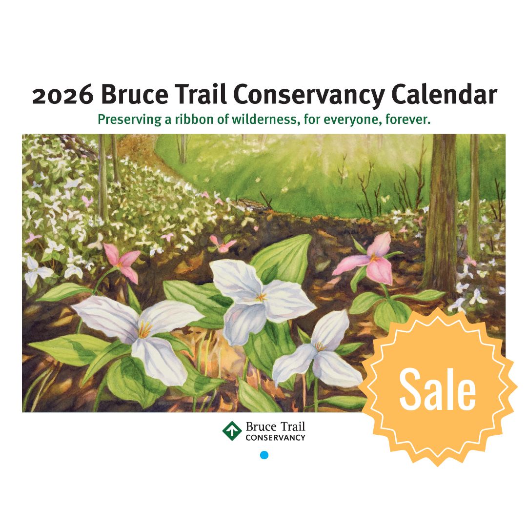 2026 Bruce Trail Conservancy Calendar | Bruce Trail Conservancy