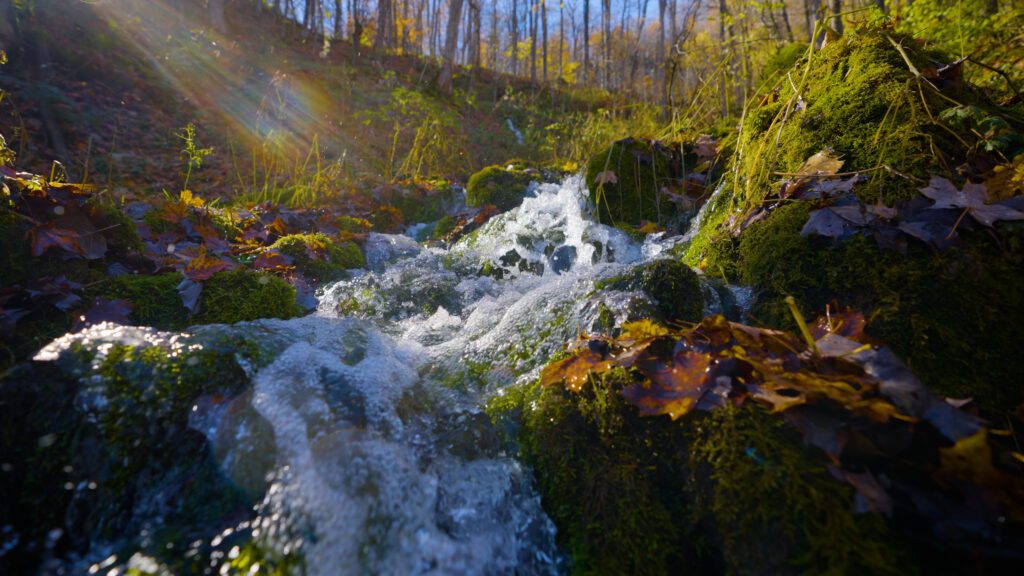 Talisman | Bruce Trail Conservancy