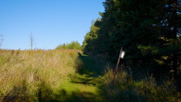 Talisman | Bruce Trail Conservancy
